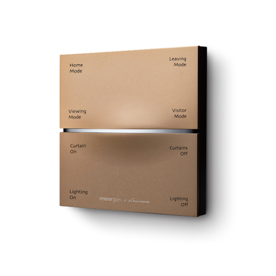 Smart Panel - Steve Leung – Moorgen Smart Home