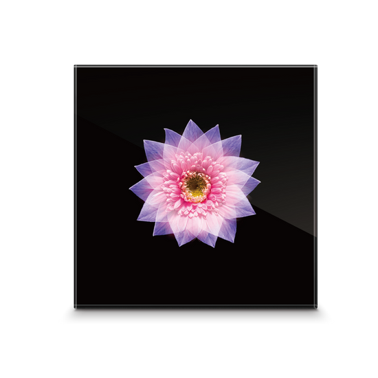 Moorgen Brand – Moorgen Smart Home