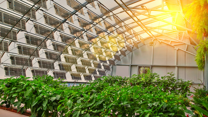 Smart Lighting System – Moorgen Smart Home